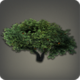 La Noscean Orange Tree - Final Fantasy XIV Online Wiki - FFXIV / FF14 ...