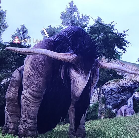 Large Buffalo - Final Fantasy XIV Online Wiki - FFXIV / FF14 Online ...