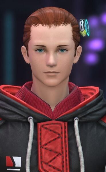 Seekers of Eternity - Final Fantasy XIV Online Wiki - FFXIV / FF14 ...