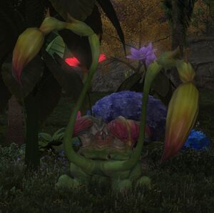 Scavenging U'out - Final Fantasy XIV Online Wiki - FFXIV / FF14 Online ...