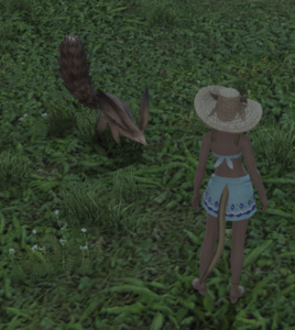 Ground Squirrel (Island Sanctuary) - Final Fantasy XIV Online Wiki ...