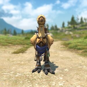 Wayfarer's Barding - Final Fantasy XIV Online Wiki - FFXIV / FF14 ...