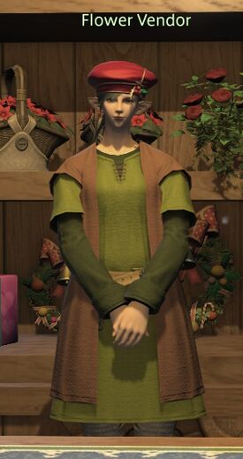 Flower Vendor (Starlight Stalls) - Final Fantasy XIV Online Wiki ...