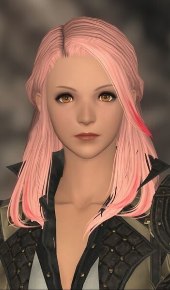 Seekers of Eternity - Final Fantasy XIV Online Wiki - FFXIV / FF14 ...