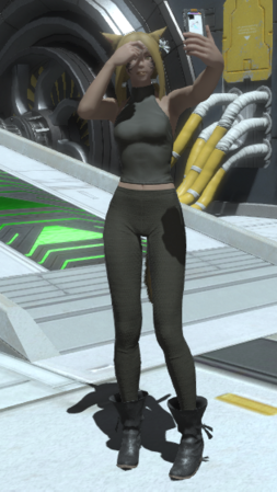 Visage Capture - Final Fantasy XIV Online Wiki - FFXIV / FF14 Online Community Wiki and Guide