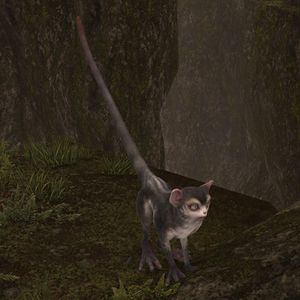 Ringtail - Final Fantasy XIV Online Wiki - FFXIV / FF14 Online ...