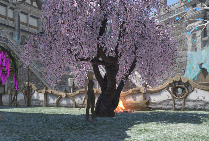 Weeping Cherry Tree - Final Fantasy XIV Online Wiki - FFXIV / FF14 ...