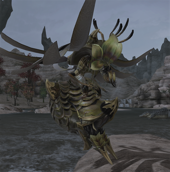 Erle - Final Fantasy XIV Online Wiki - FFXIV / FF14 Online Community ...