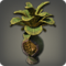 Alzadaal's Garden Lamp - Final Fantasy XIV Online Wiki - FFXIV / FF14 ...