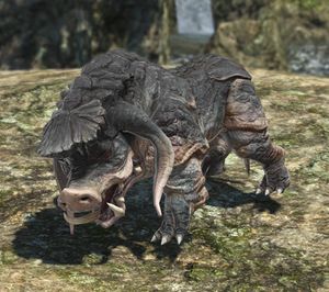 Wild Swine - Final Fantasy XIV Online Wiki - FFXIV / FF14 Online ...