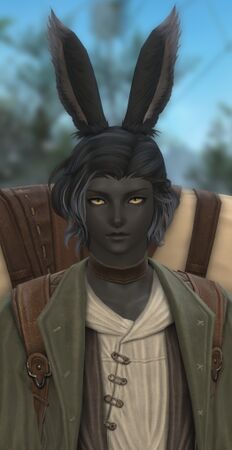 A Calculated Evolution - Final Fantasy XIV Online Wiki - FFXIV / FF14 ...
