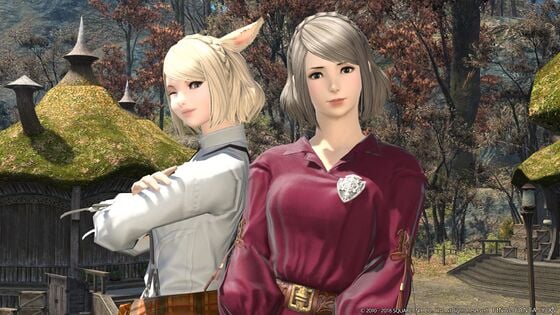 Form and Function Hairstyle - Final Fantasy XIV Online Wiki - FFXIV ...