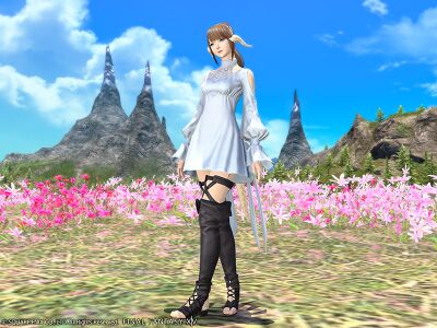 Oracle Leggings - Final Fantasy XIV Online Wiki - FFXIV / FF14 Online ...