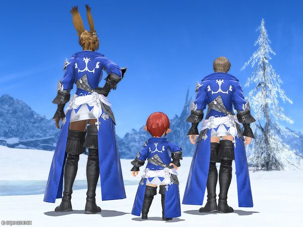Iceheart Bottoms - Final Fantasy XIV Online Wiki - FFXIV / FF14 Online ...