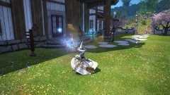 Stone (spell) - Final Fantasy XIV Online Wiki - FFXIV / FF14 Online ...