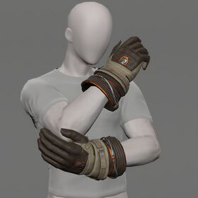 Babyface Champion's Gloves of Aiming - Final Fantasy XIV Online Wiki ...