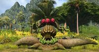 Aloalo Deadly Coconut - Final Fantasy XIV Online Wiki - FFXIV / FF14 Online Community Wiki and Guide