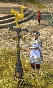 Skywatcher - Final Fantasy XIV Online Wiki - FFXIV / FF14 Online ...