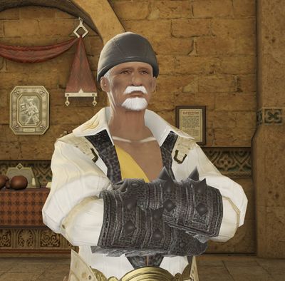 Hamon - Final Fantasy XIV Online Wiki - FFXIV / FF14 Online Community ...