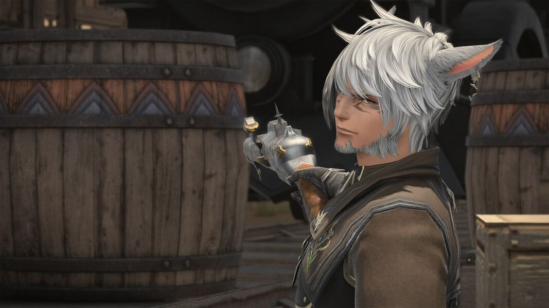 Inconceivably Further Hildibrand Adventures - Final Fantasy XIV Online ...