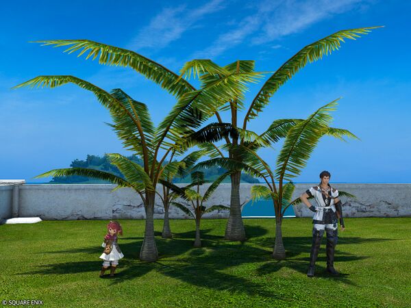 Garden Palm Tree - Final Fantasy XIV Online Wiki - FFXIV / FF14 Online ...