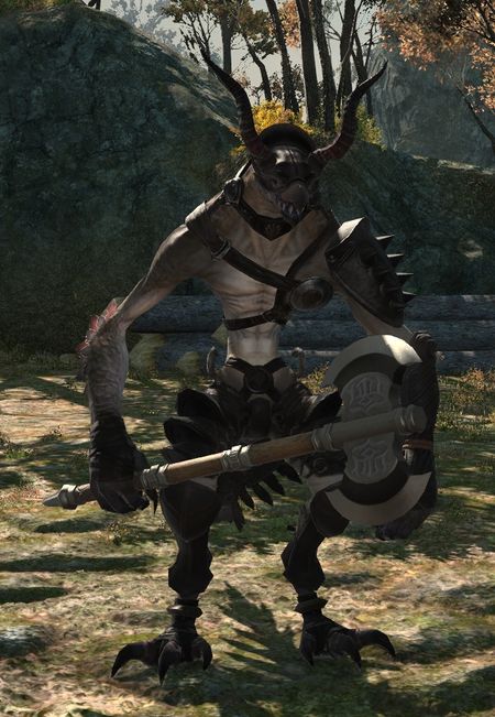 Ixali Boldwing - Final Fantasy XIV A Realm Reborn Wiki - FFXIV / FF14 ...