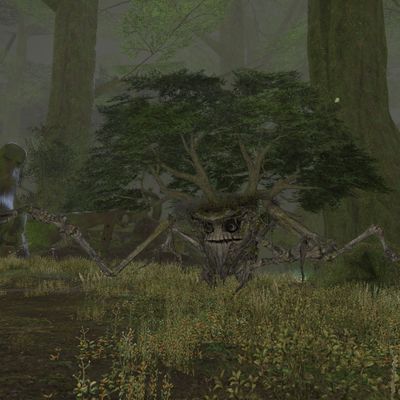 Old-growth Treant - Final Fantasy XIV Online Wiki - FFXIV / FF14 Online ...