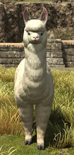 Wild-eyed Alpaca - Final Fantasy XIV Online Wiki - FFXIV / FF14 Online ...