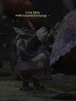 Luna Vanu - Final Fantasy XIV Online Wiki - FFXIV / FF14 Online ...