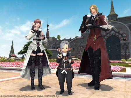 Drink Tea - Final Fantasy XIV Online Wiki - FFXIV / FF14 Online ...