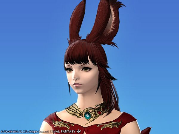 Hairstyles - Final Fantasy XIV Online Wiki - FFXIV / FF14 Online ...