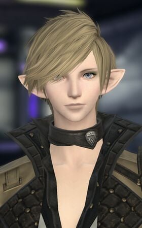 The Promise of Tomorrow - Final Fantasy XIV Online Wiki - FFXIV / FF14 ...