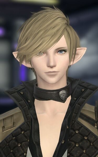A Calculated Evolution - Final Fantasy XIV Online Wiki - FFXIV / FF14 ...