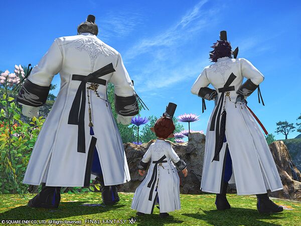 Far Eastern Gentleman's Robe - Final Fantasy XIV Online Wiki - FFXIV ...