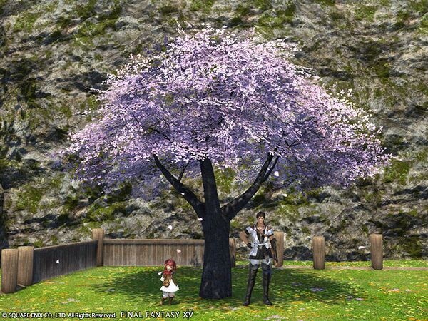 Authentic Eastern Cherry Tree - Final Fantasy XIV Online Wiki - FFXIV ...