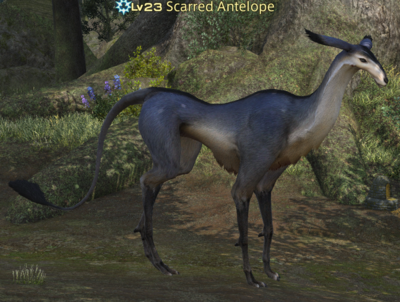 Scarred Antelope - Final Fantasy XIV Online Wiki - FFXIV / FF14 Online ...