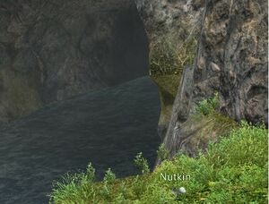 Nutkin (NPC) - Final Fantasy XIV Online Wiki - FFXIV / FF14 Online ...