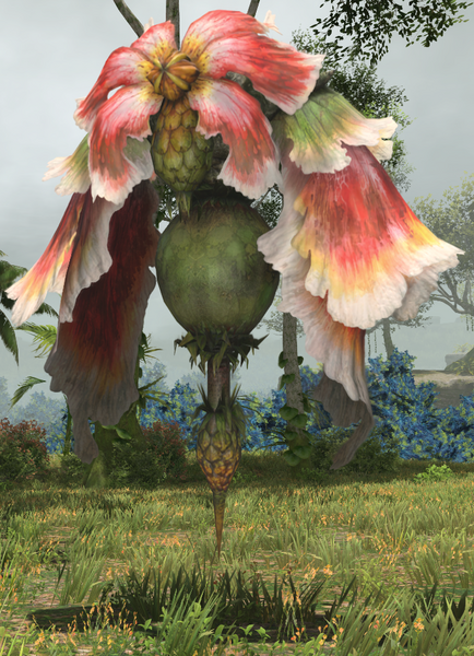 Xty'iinbek - Final Fantasy XIV Online Wiki - FFXIV / FF14 Online ...