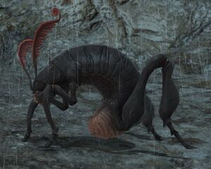 Zadnor Wamouracampa - Final Fantasy XIV Online Wiki - FFXIV / FF14 ...