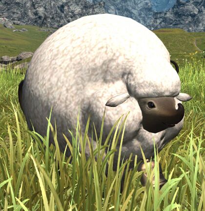 Dataqi Sheep - Final Fantasy XIV Online Wiki - FFXIV / FF14 Online ...