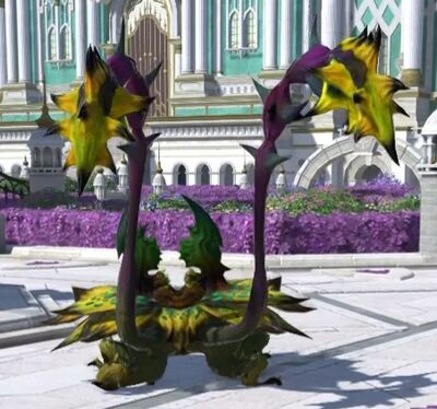 Cosmos Ya-te-veo - Final Fantasy XIV Online Wiki - FFXIV / FF14 Online Community Wiki and Guide