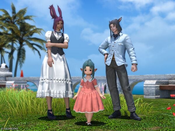 Tail of the Teller Hairstyle - Final Fantasy XIV Online Wiki - FFXIV ...
