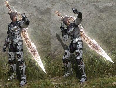 Visage Capture - Final Fantasy XIV Online Wiki - FFXIV / FF14 Online Community Wiki and Guide