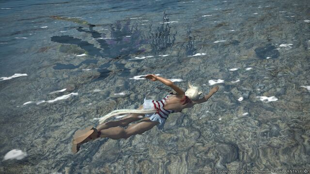 Swimming and Diving - Final Fantasy XIV Online Wiki - FFXIV / FF14 ...