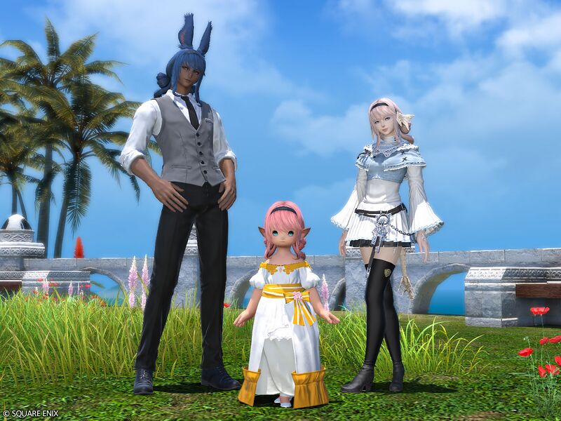 Fit for a Princess Hairstyle - Final Fantasy XIV Online Wiki - FFXIV ...