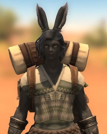 A Calculated Evolution - Final Fantasy XIV Online Wiki - FFXIV / FF14 ...