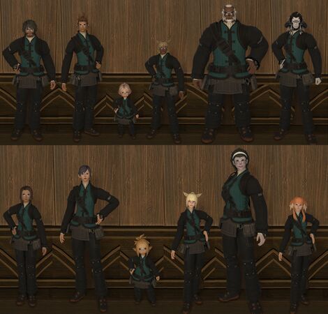 Mender (Player Housing) - Final Fantasy XIV Online Wiki - FFXIV / FF14 ...