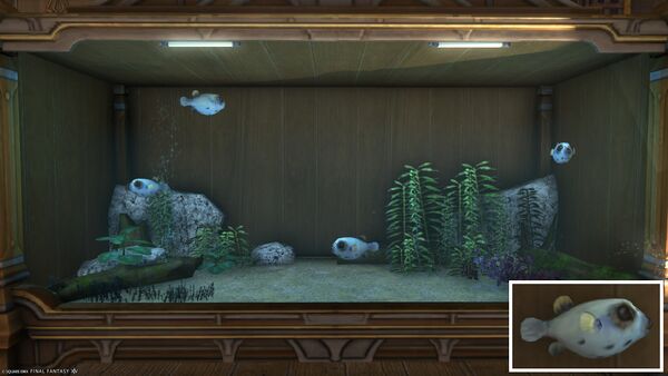 Dog-faced Puffer - Final Fantasy XIV Online Wiki - FFXIV / FF14 Online ...