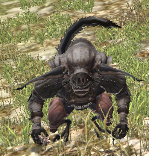 Kobold Missionary - Final Fantasy XIV Online Wiki - FFXIV / FF14 Online Community Wiki and Guide