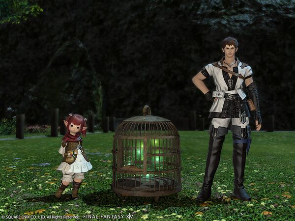 Limited Edition Firefly Lamp - Final Fantasy XIV Online Wiki - FFXIV ...